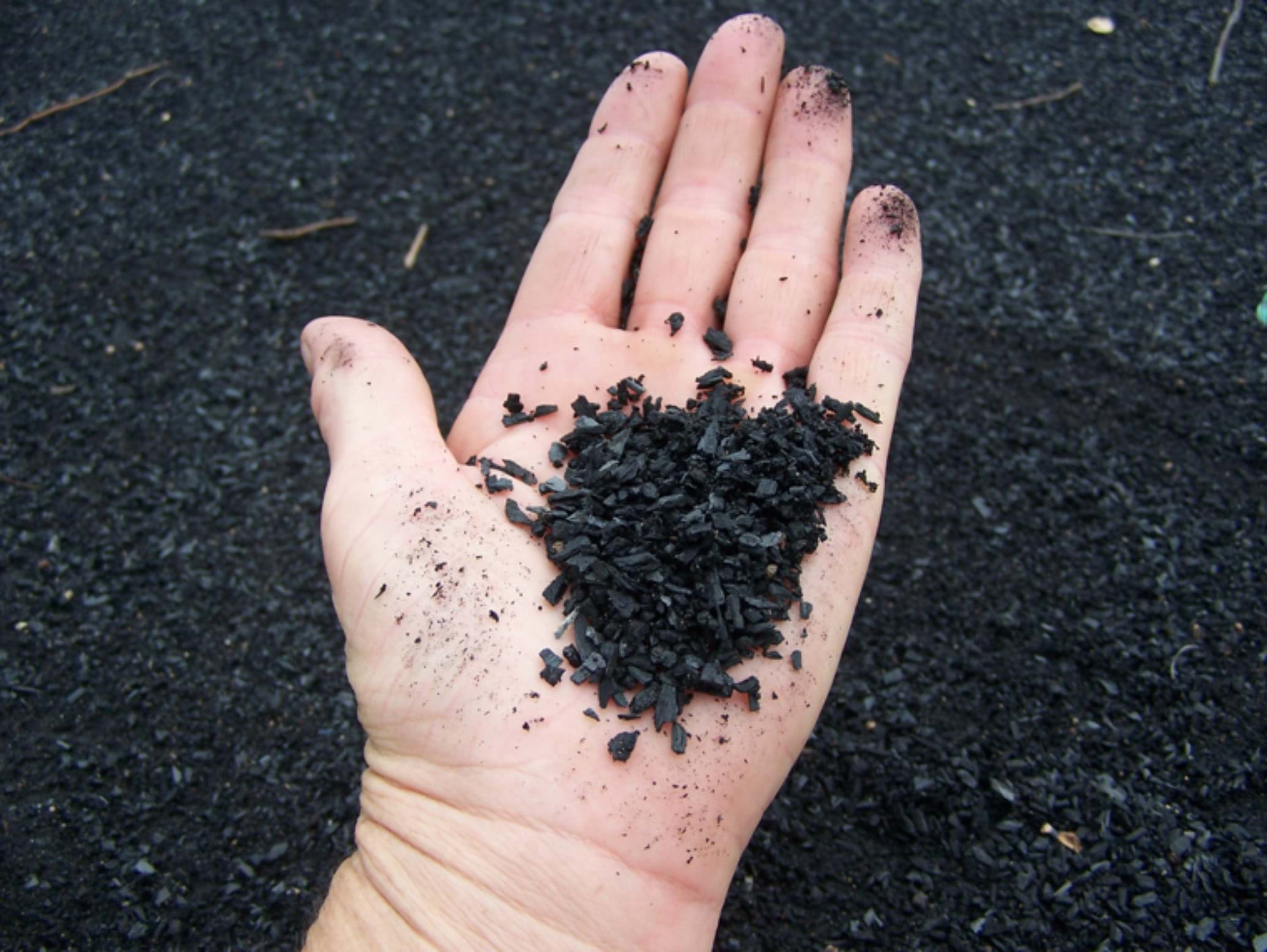 Biochar