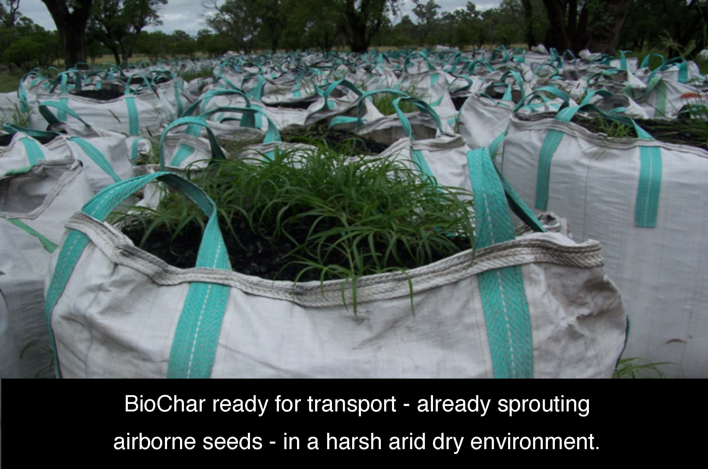Biochar