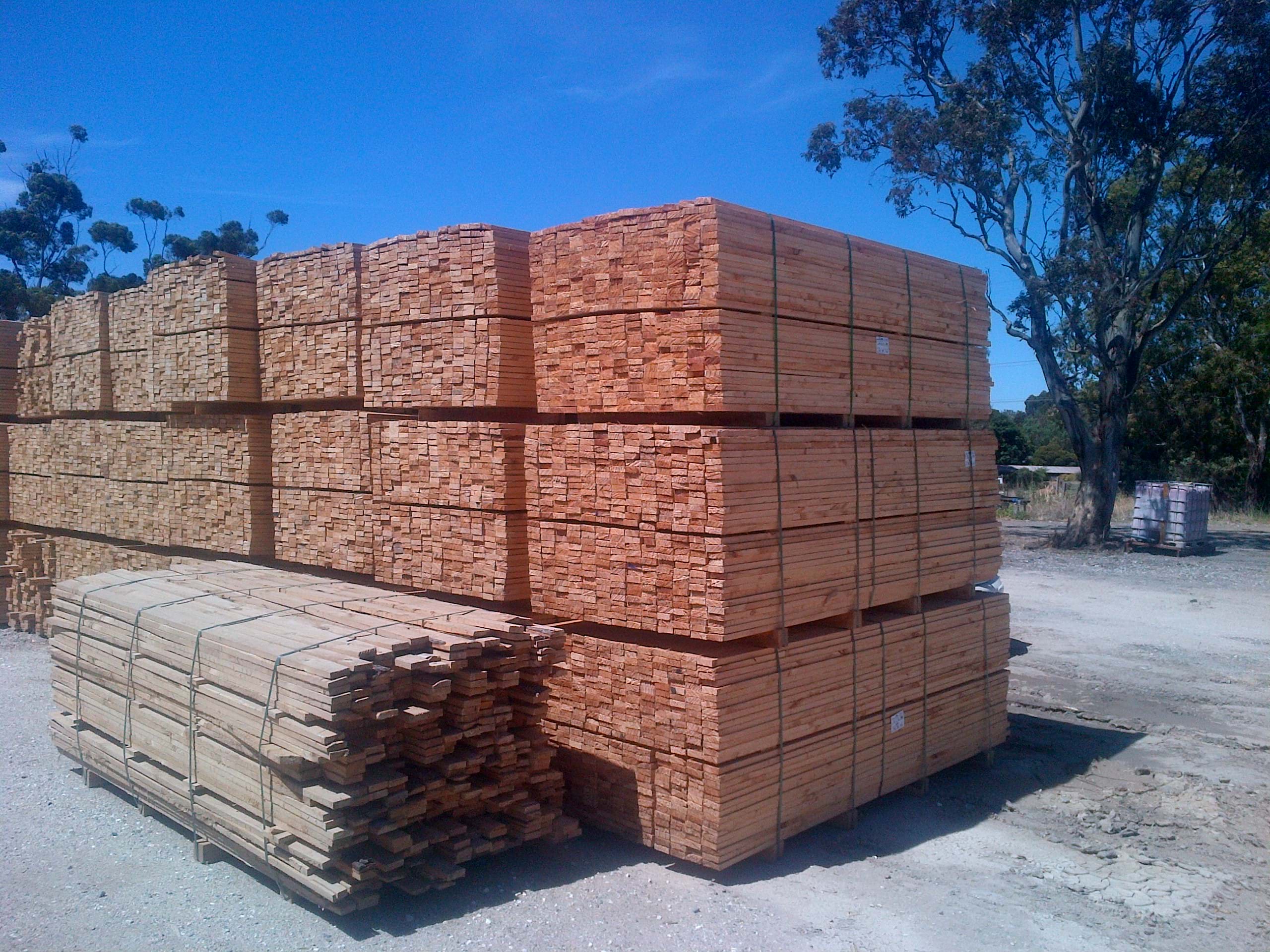 Rough Sawn Green Case Pine